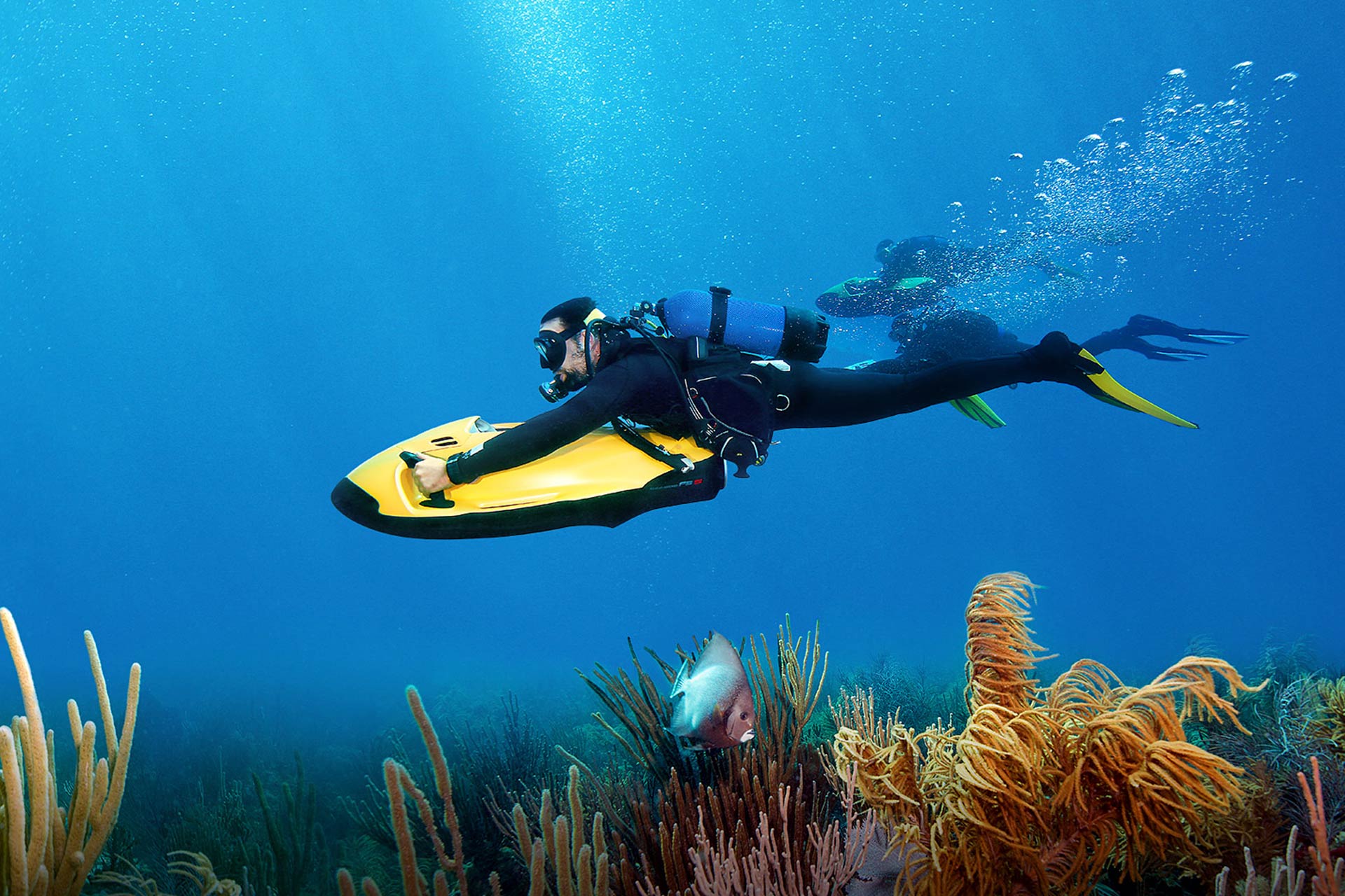 Distribuidor Oficial SEA BOB – CBM Marine